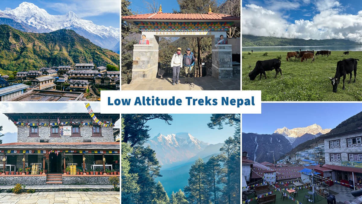 8 Best Low Altitude Treks in Nepal – Easy & Scenic Routes (2026)